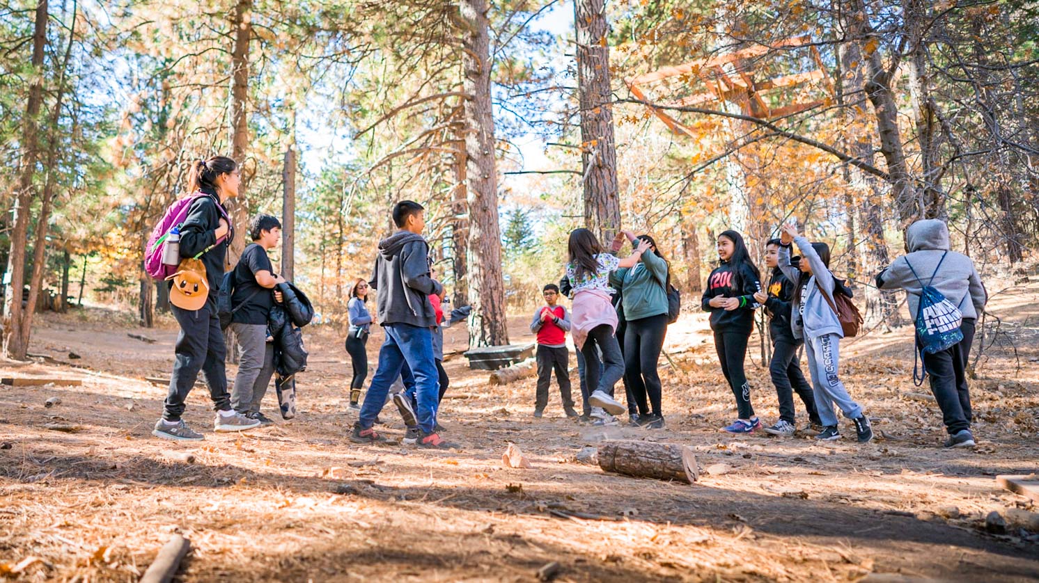 Animal Survivor | Pali Institute