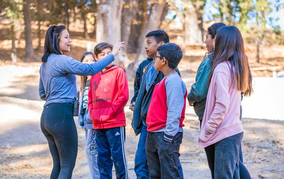 Animal Survivor | Pali Institute