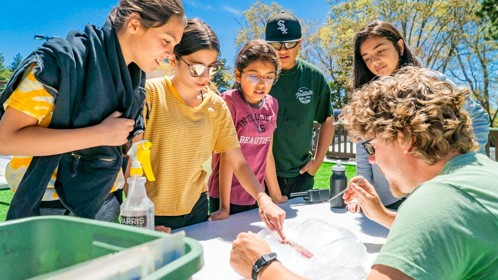 About Pali Institute | The Pali Institute Difference