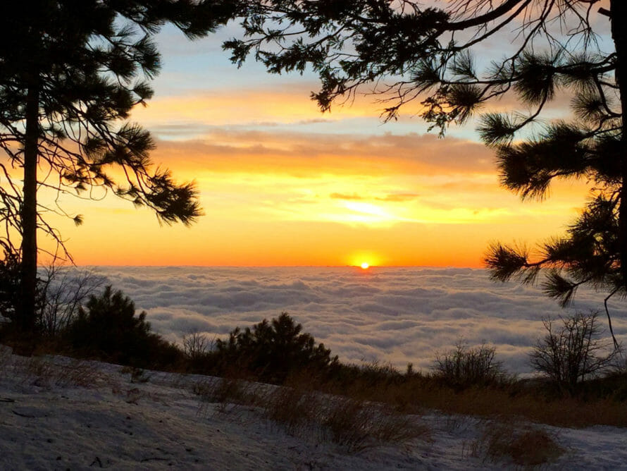 Top 8 Science Camps | Southern California School Trips | Pali Institute