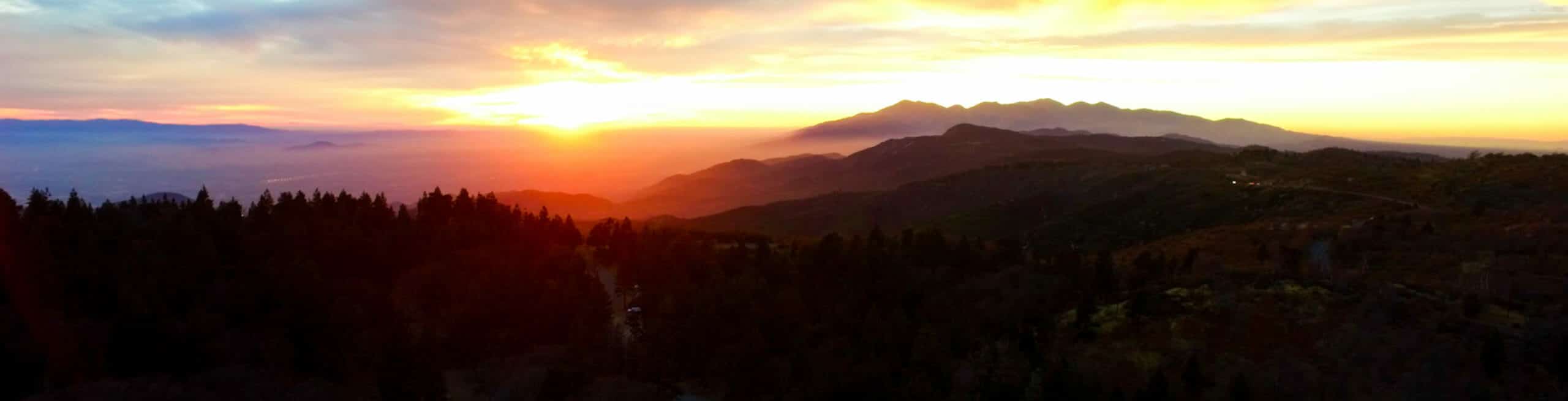 Pali Institute Testimonials | Pali Institute