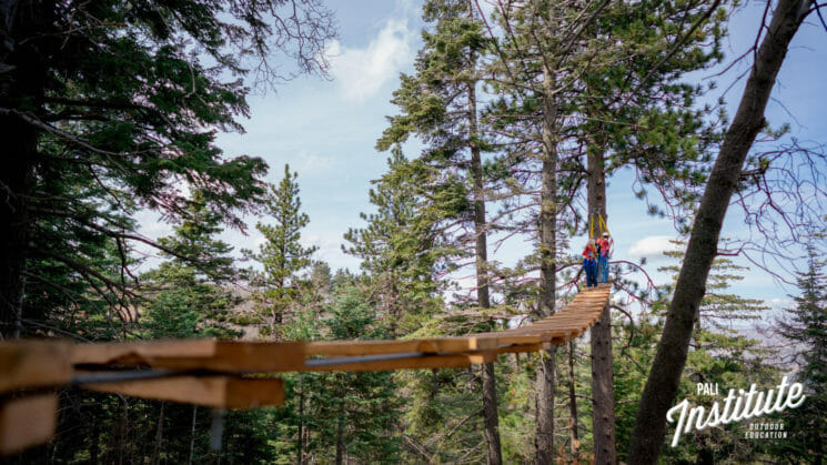 Custom Zoom Backgrounds featuring Pali Institute! | Pali Institute