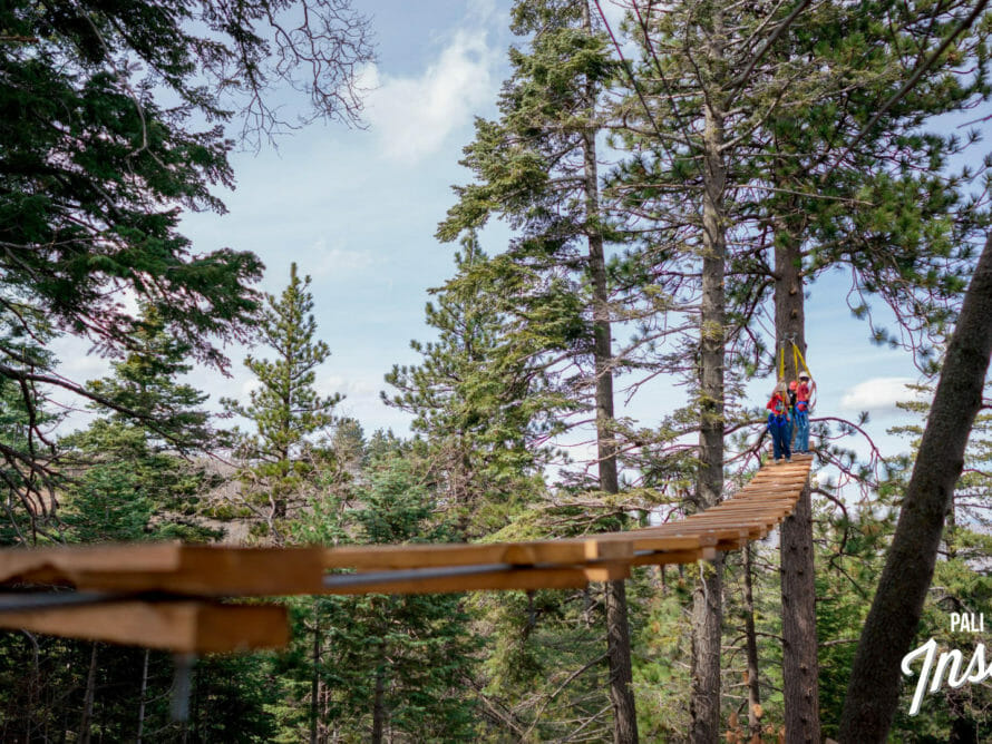 Custom Zoom Backgrounds featuring Pali Institute! | Pali Institute