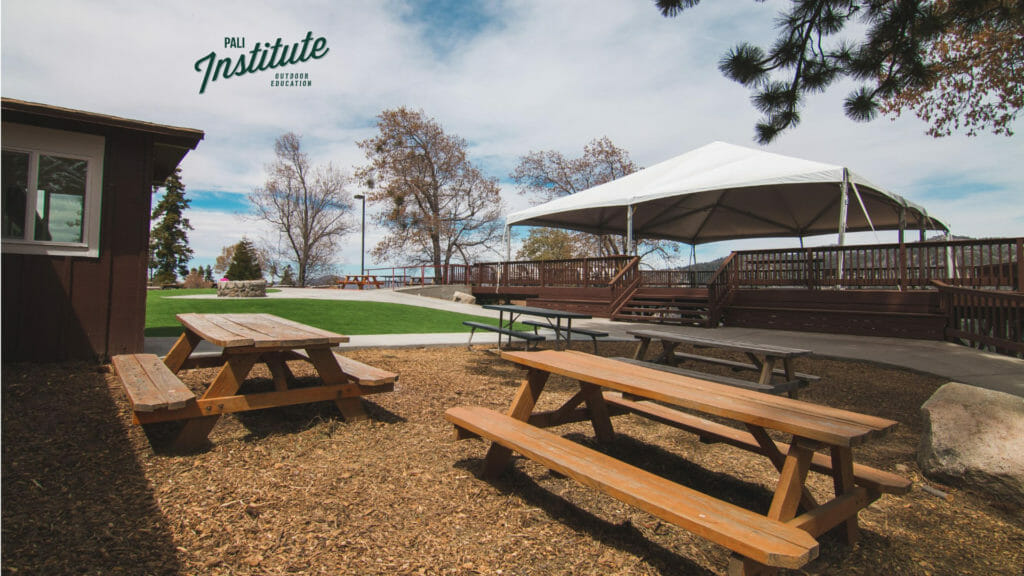 Custom Zoom Backgrounds featuring Pali Institute! | Pali Institute