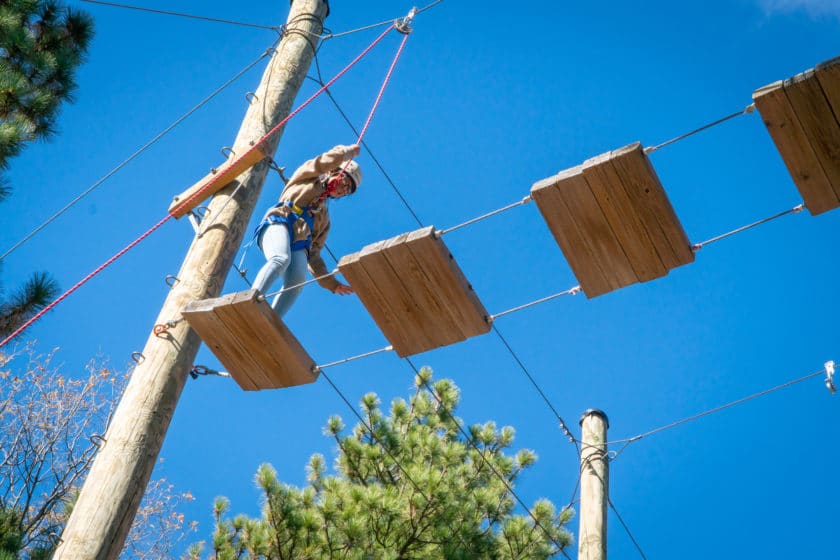 Team Building Program in California | Team Bonding Activities