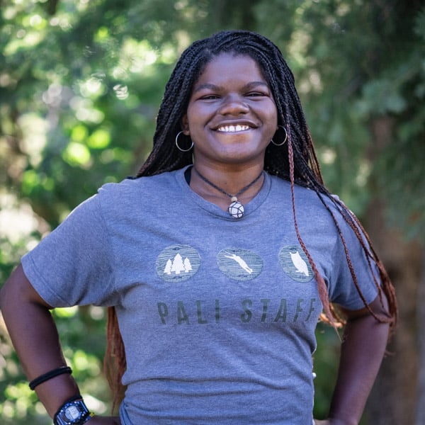 Tine - Pali Institute