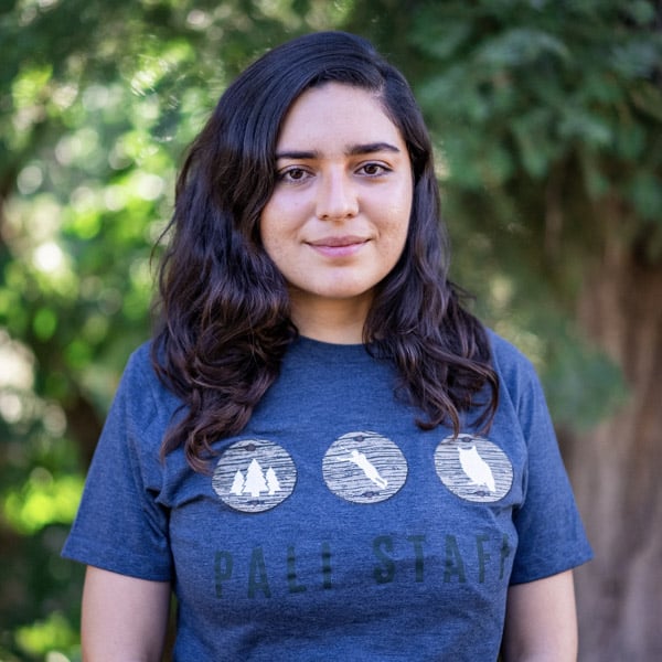 Mafer - Pali Institute