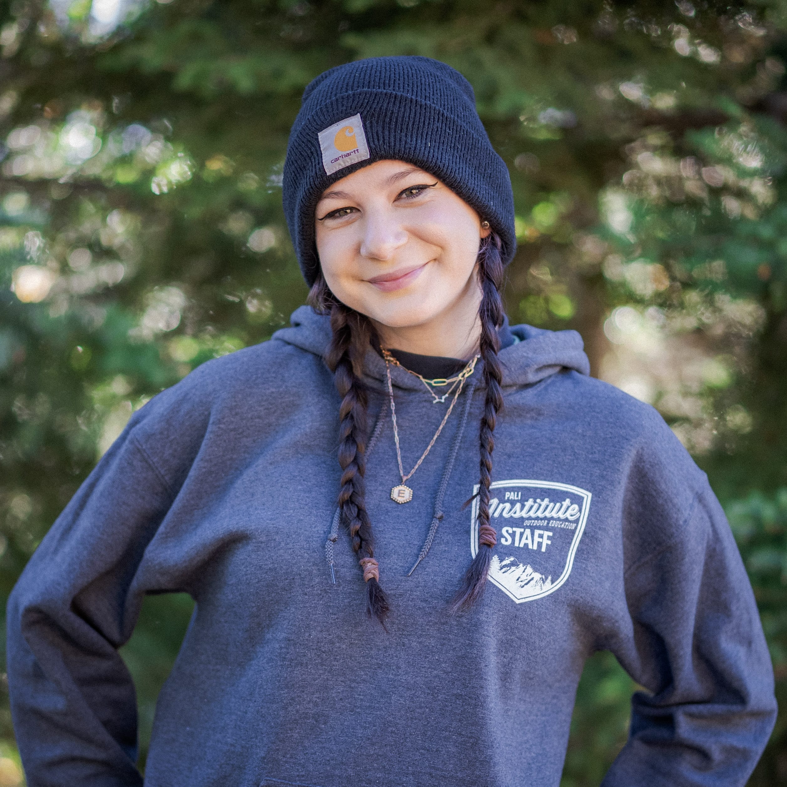 Virgo - Pali Institute