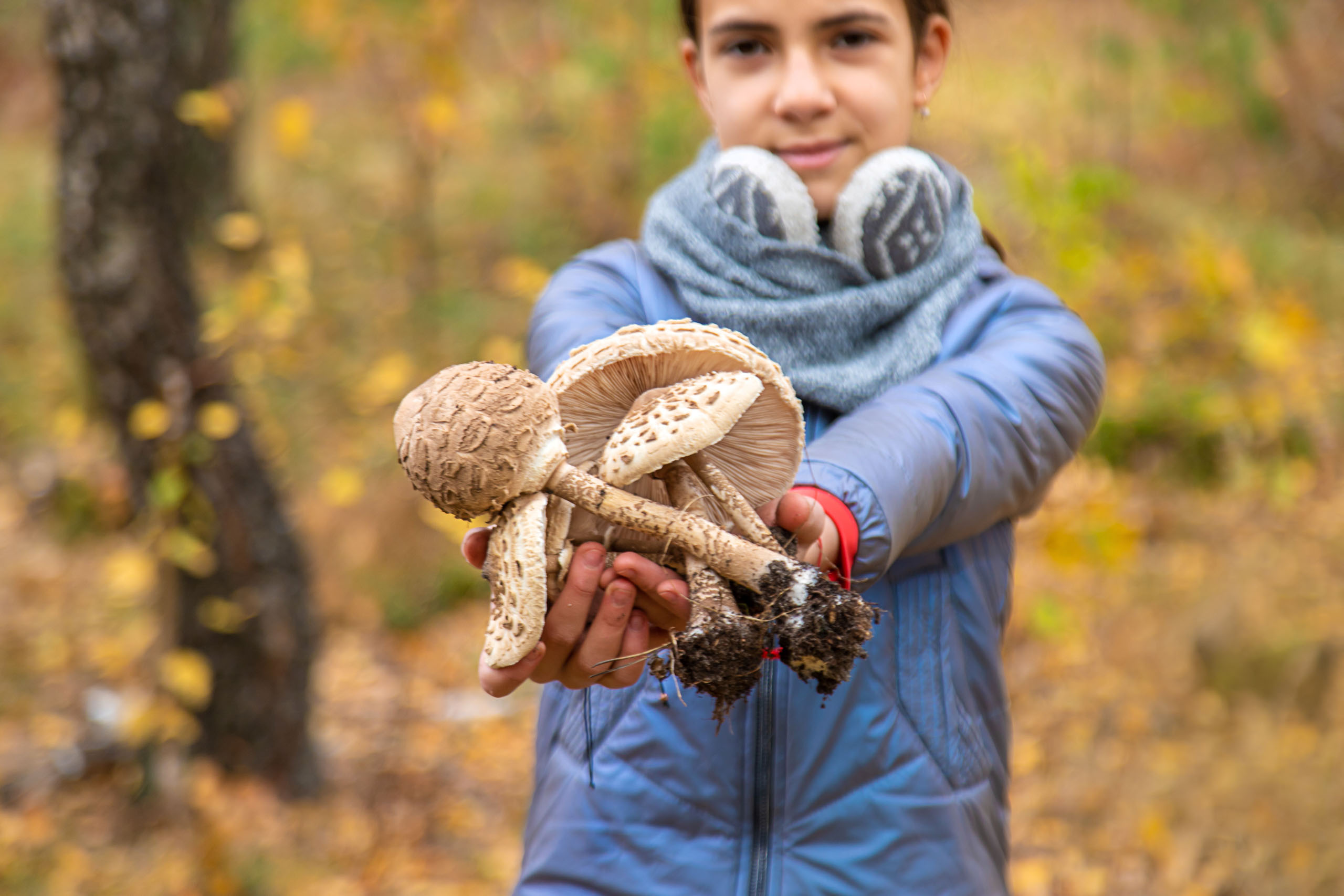 Fungus Among Us | Pali Institute
