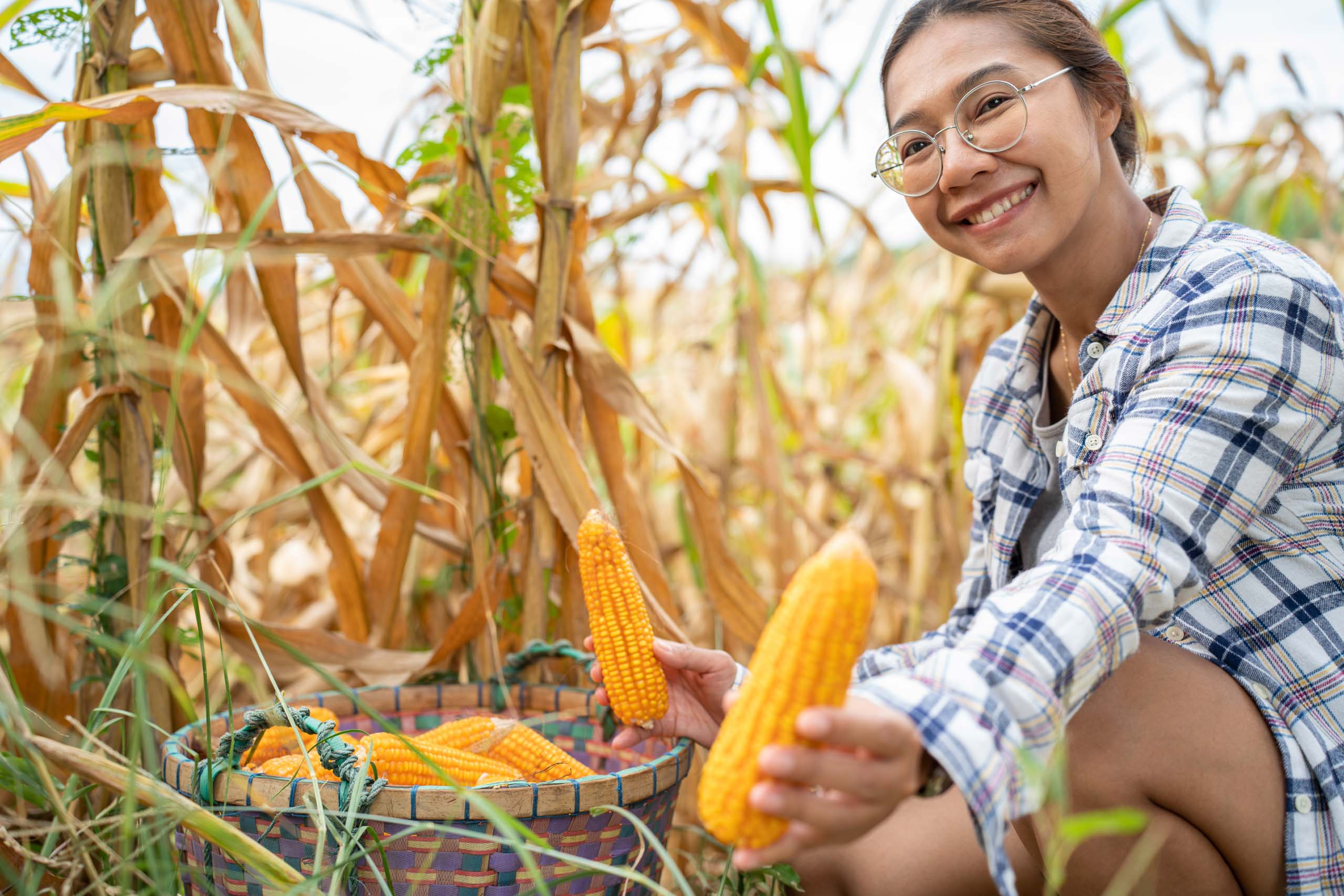 Masa Masters: From Kernel to Tortilla | Pali Institute